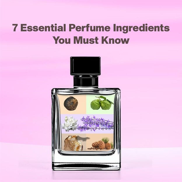 7 Essential Perfume Ingredients You Need to Know